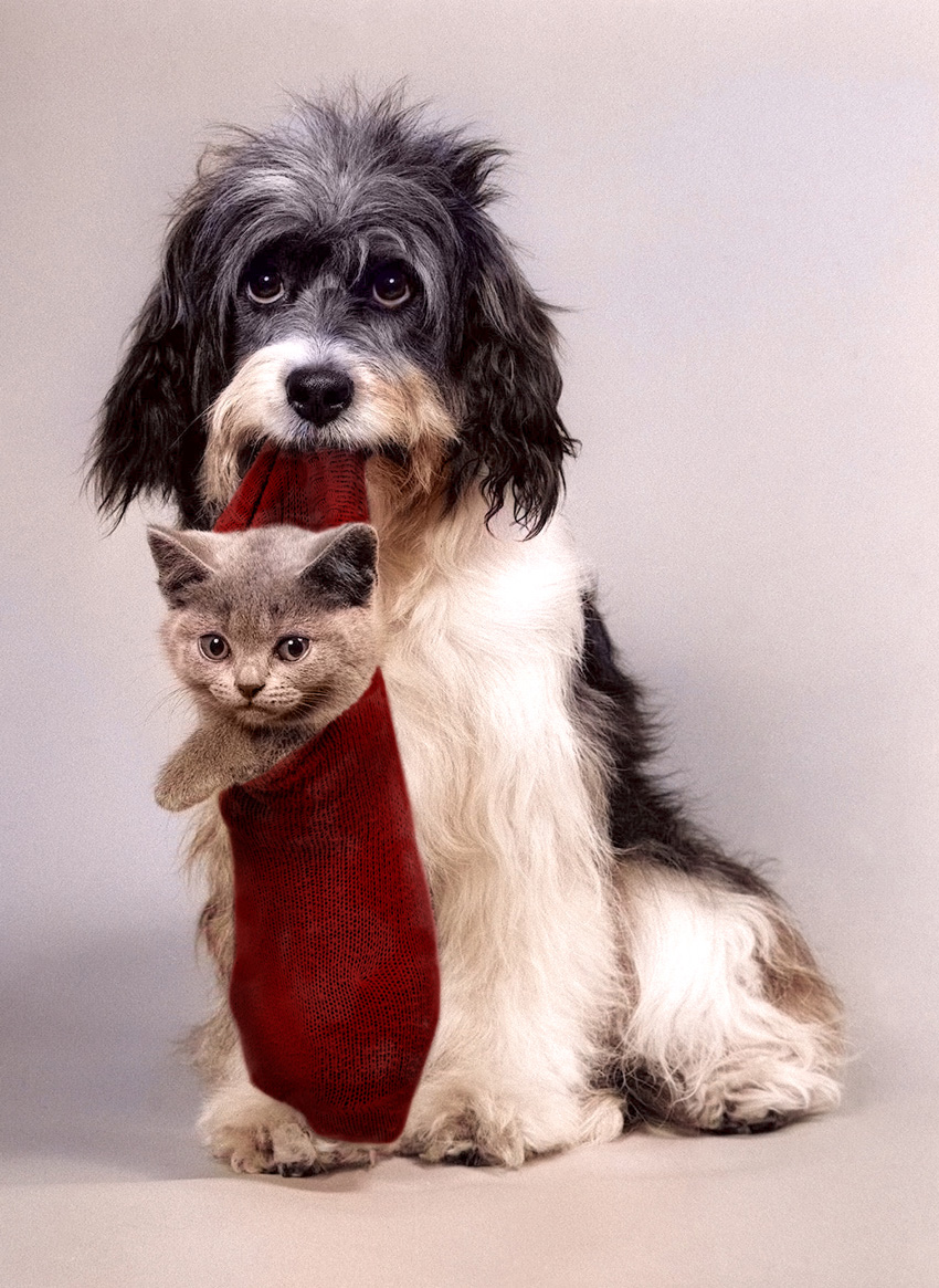 English Version | It's love, animal! | Vogue Portugal